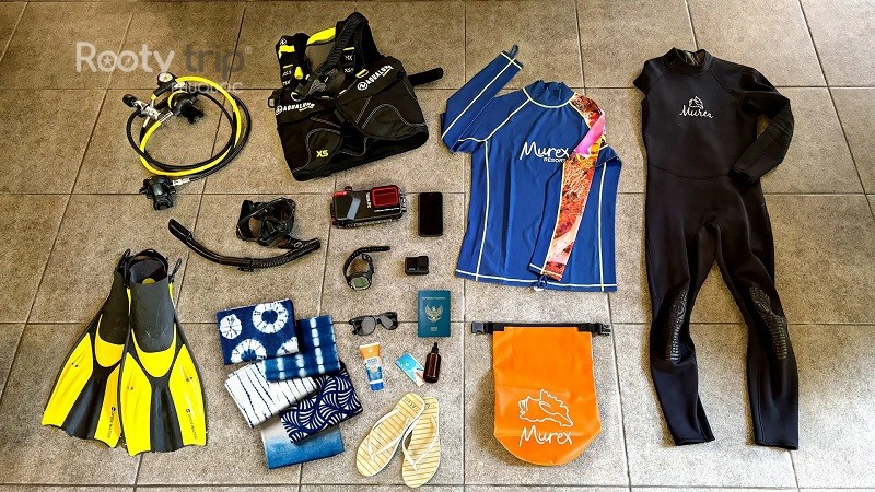 Essential Snorkeling Gear Checklist for Every Explorer